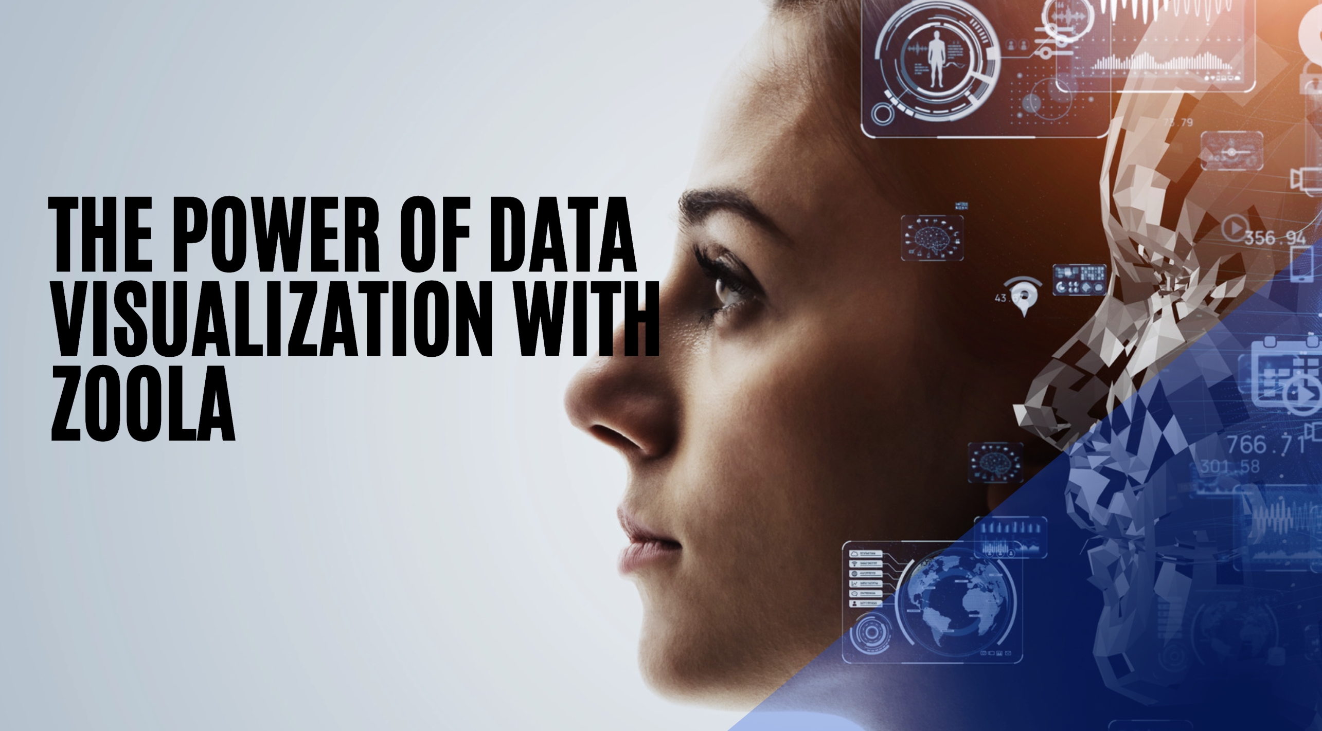 The Power of Data Visualization with Zoola